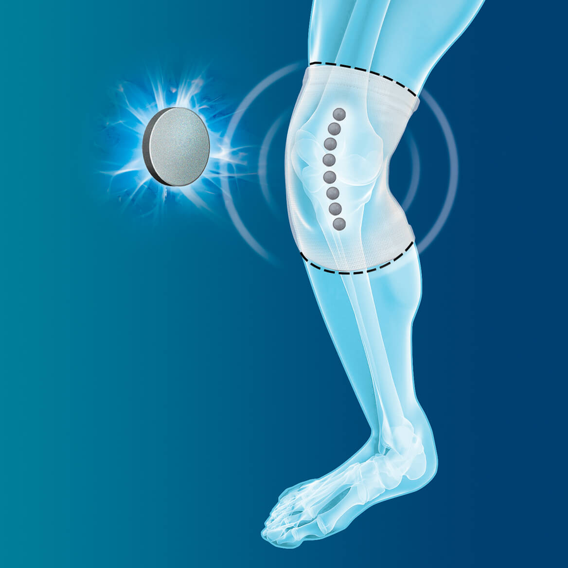 Magnetic Knee Support With 32 Internal 800-gauss Therapy Magnets for ...